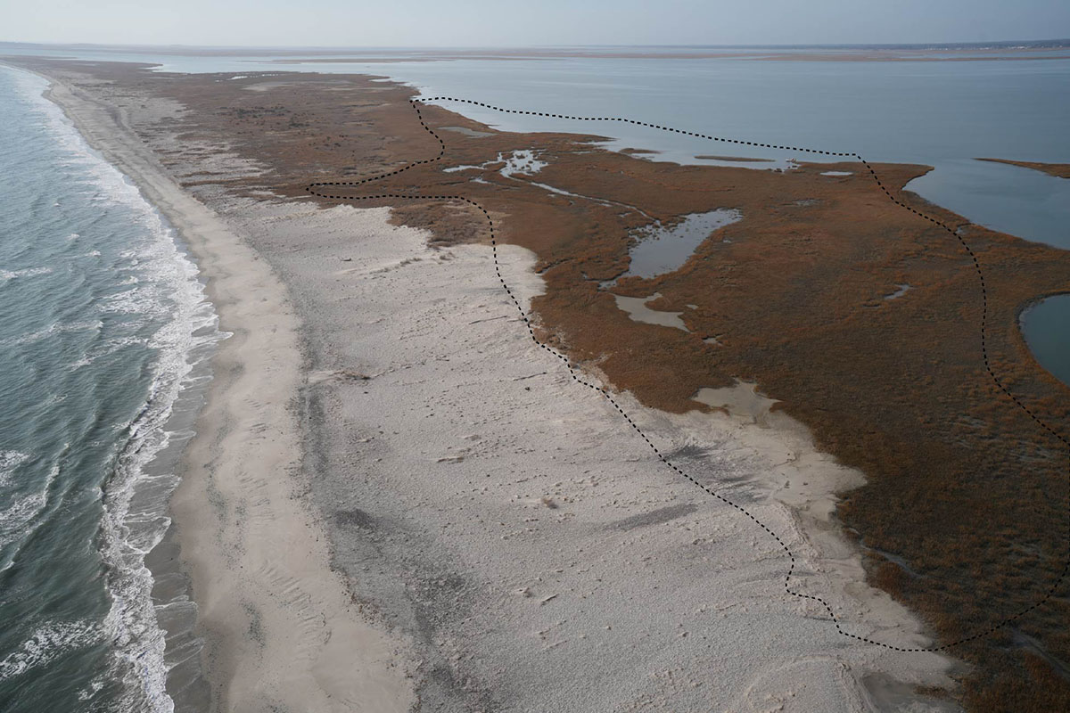 Cedar Island Resilience Project | Virginia Institute of Marine Science