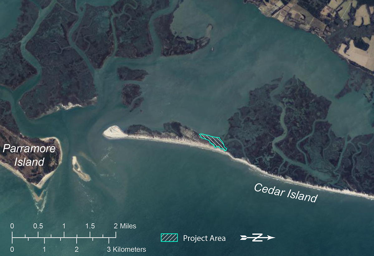 Cedar Island Resilience Project | Virginia Institute of Marine Science