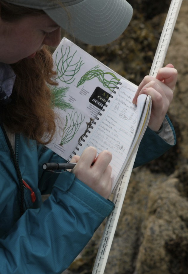 Coursework in Marine Science | Virginia Institute of Marine Science