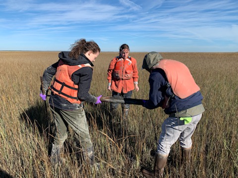 Undergraduate Research Highlights | Virginia Institute of Marine Science