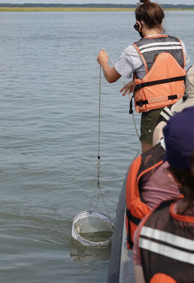 Research in Marine Science | Virginia Institute of Marine Science