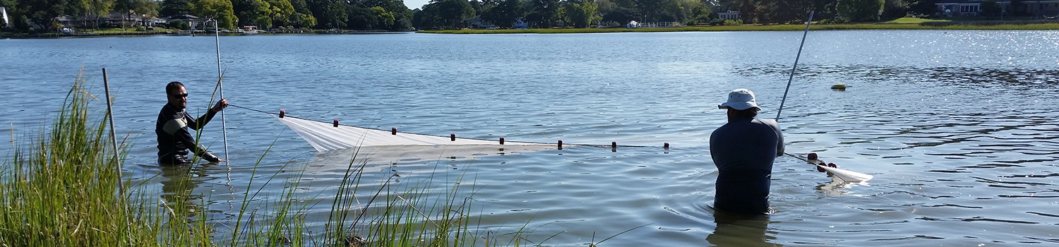 J Derek Loftis | Virginia Institute of Marine Science