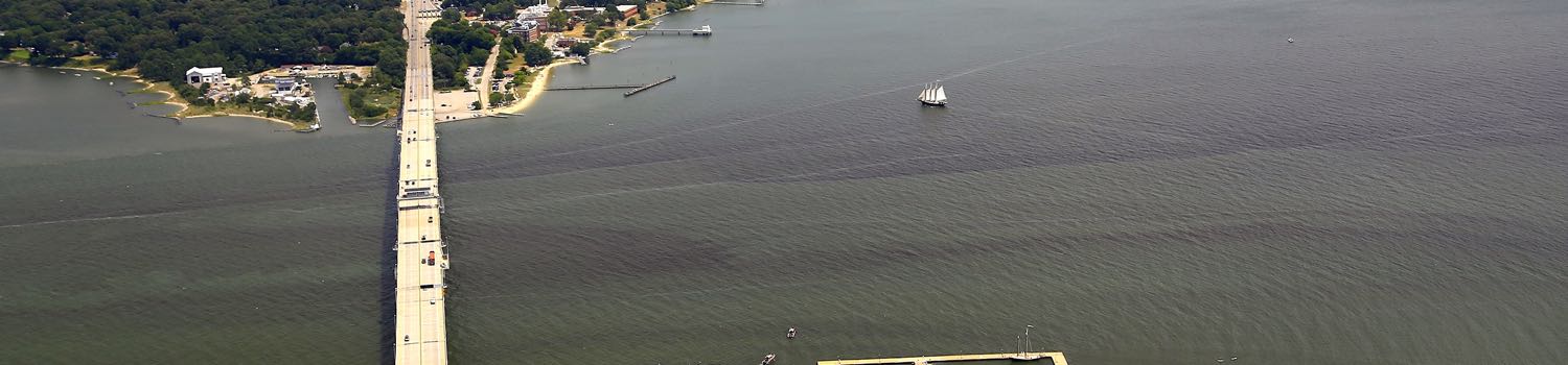 Alexandrium monilatum | Virginia Institute of Marine Science