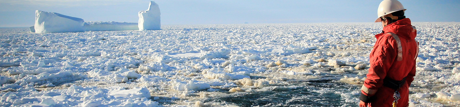 Bay Nettle | Virginia Institute of Marine Science