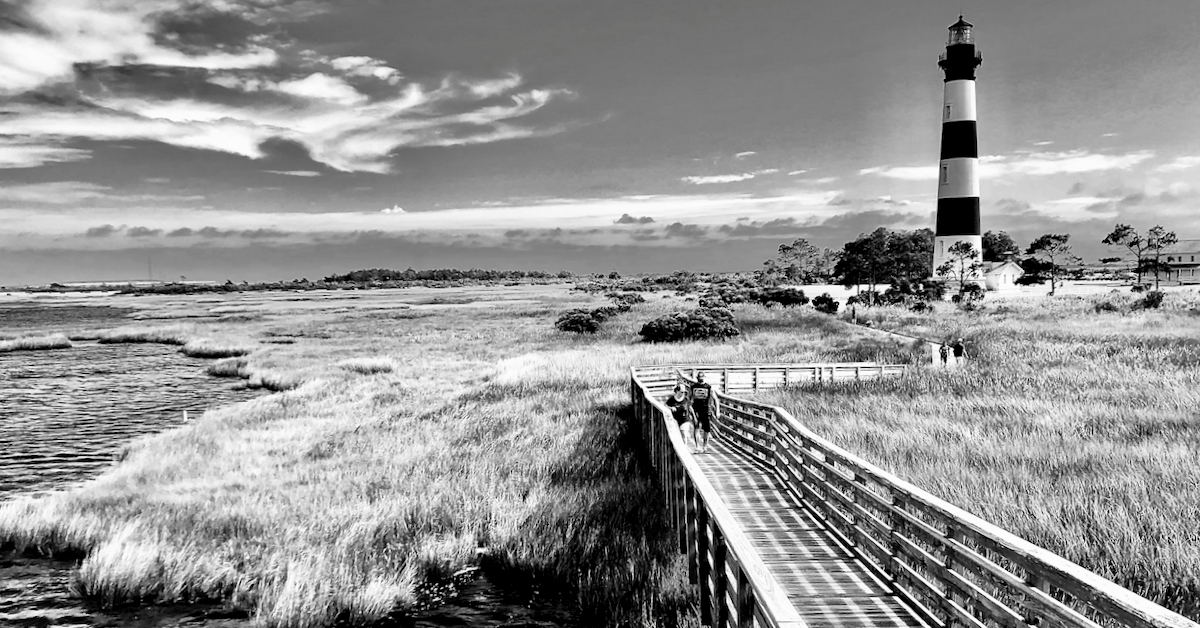 VIMS announces winners of 2021 Photo Contest | Virginia Institute of ...