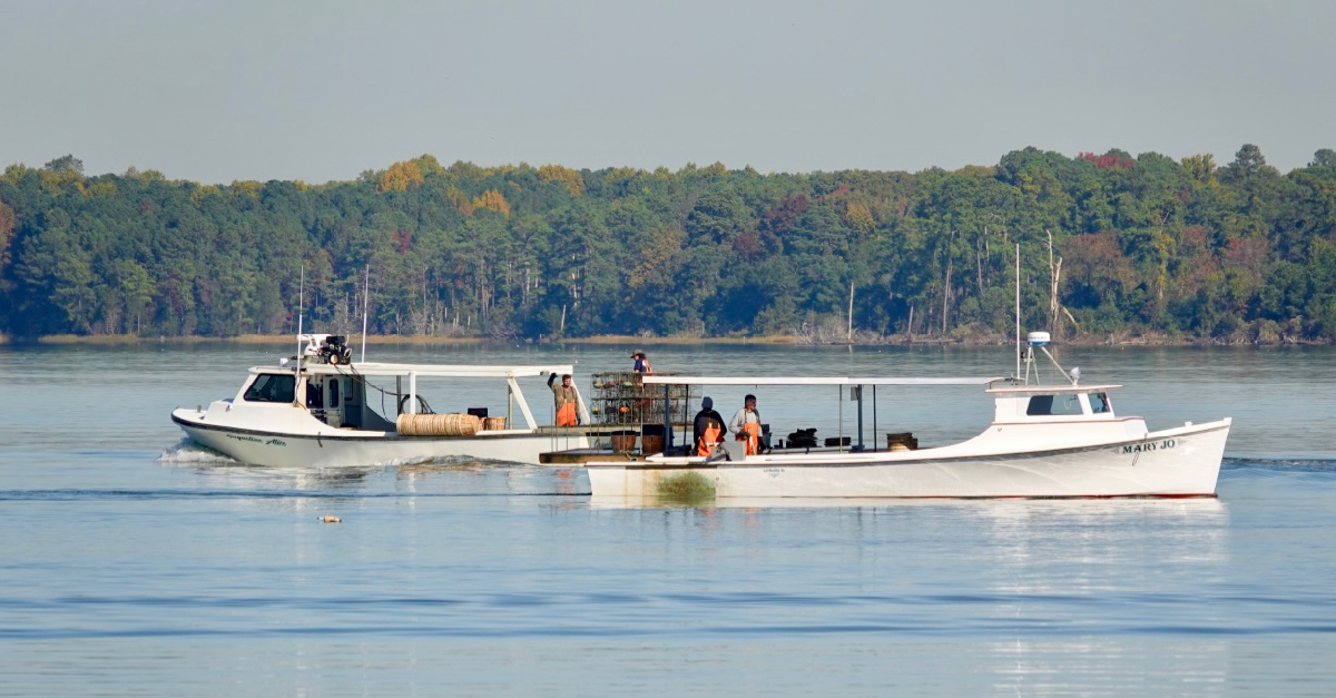 VIMS now accepting proposals for Fishery Resource Grant Program ...