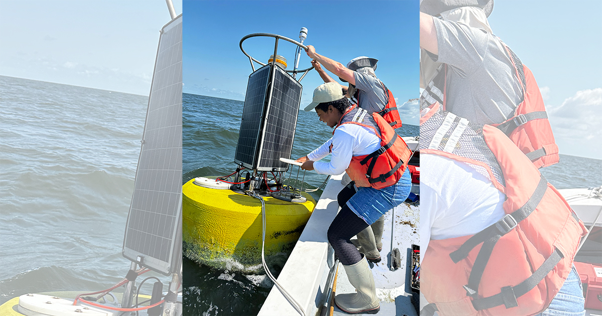 2023 VIMS Photo Contest Winners | Virginia Institute of Marine Science