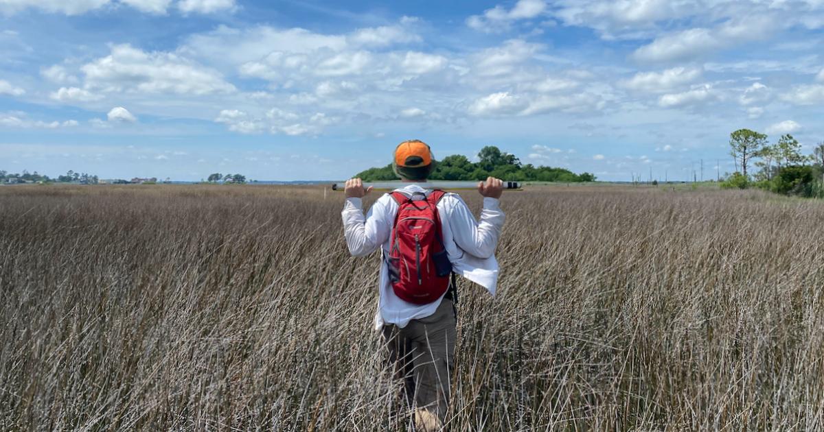 VIMS study: sea-level rise is double-edged sword for carbon storage ...