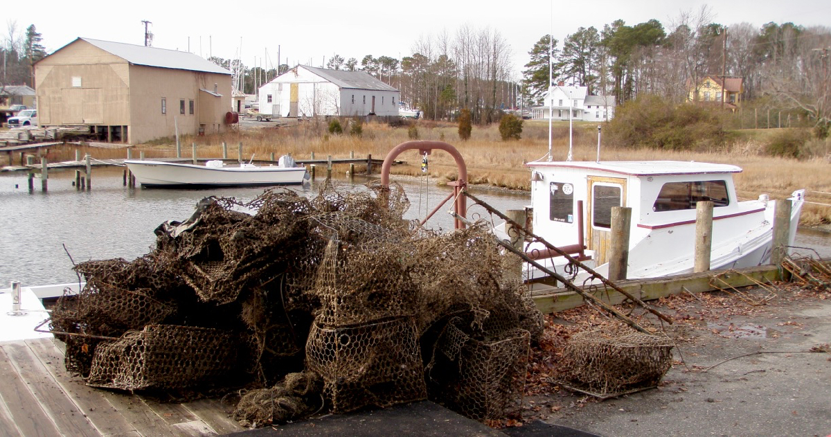VIMS to lead national program for managing derelict fishing gear ...