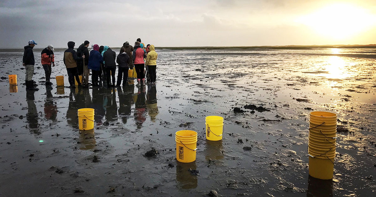 Unearthing mankind’s profound impact on mud and carbon cycling | Virginia Institute of Marine ...