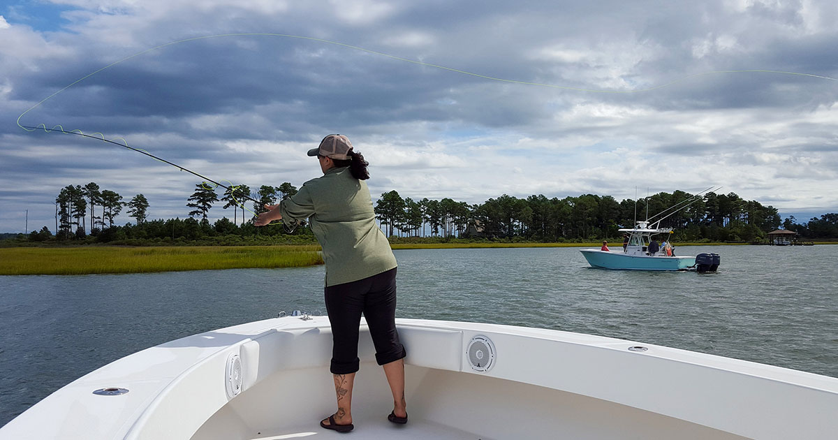 Middle Peninsula marshes and living shorelines create benefits valued ...