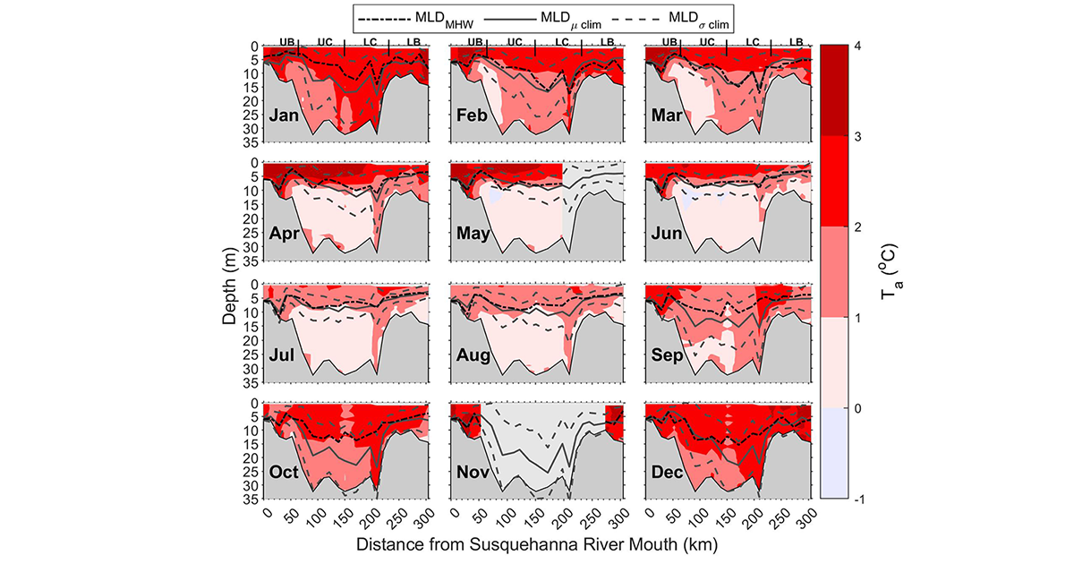 Unexpected findings emerge in study of subsurface effects of marine ...