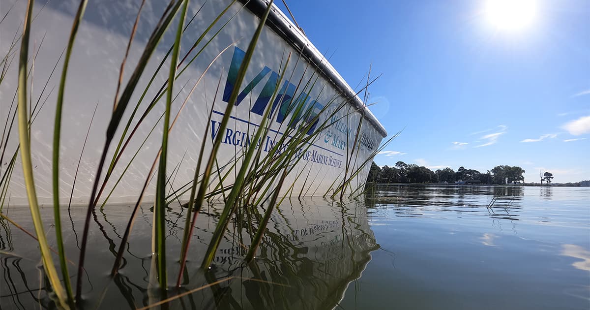 2025 Batten School & VIMS Photo Contest Winners | Virginia Institute of ...