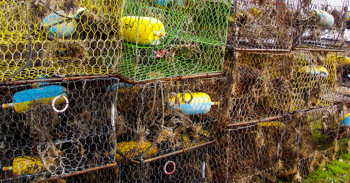 National TRAP Program funds large-scale cleanup of discarded fishing ...