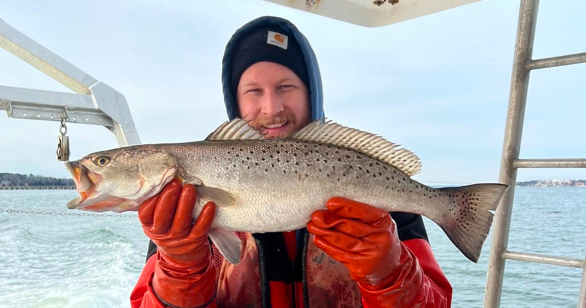 Daniel Royster: A policy framework for bringing American Shad back to ...