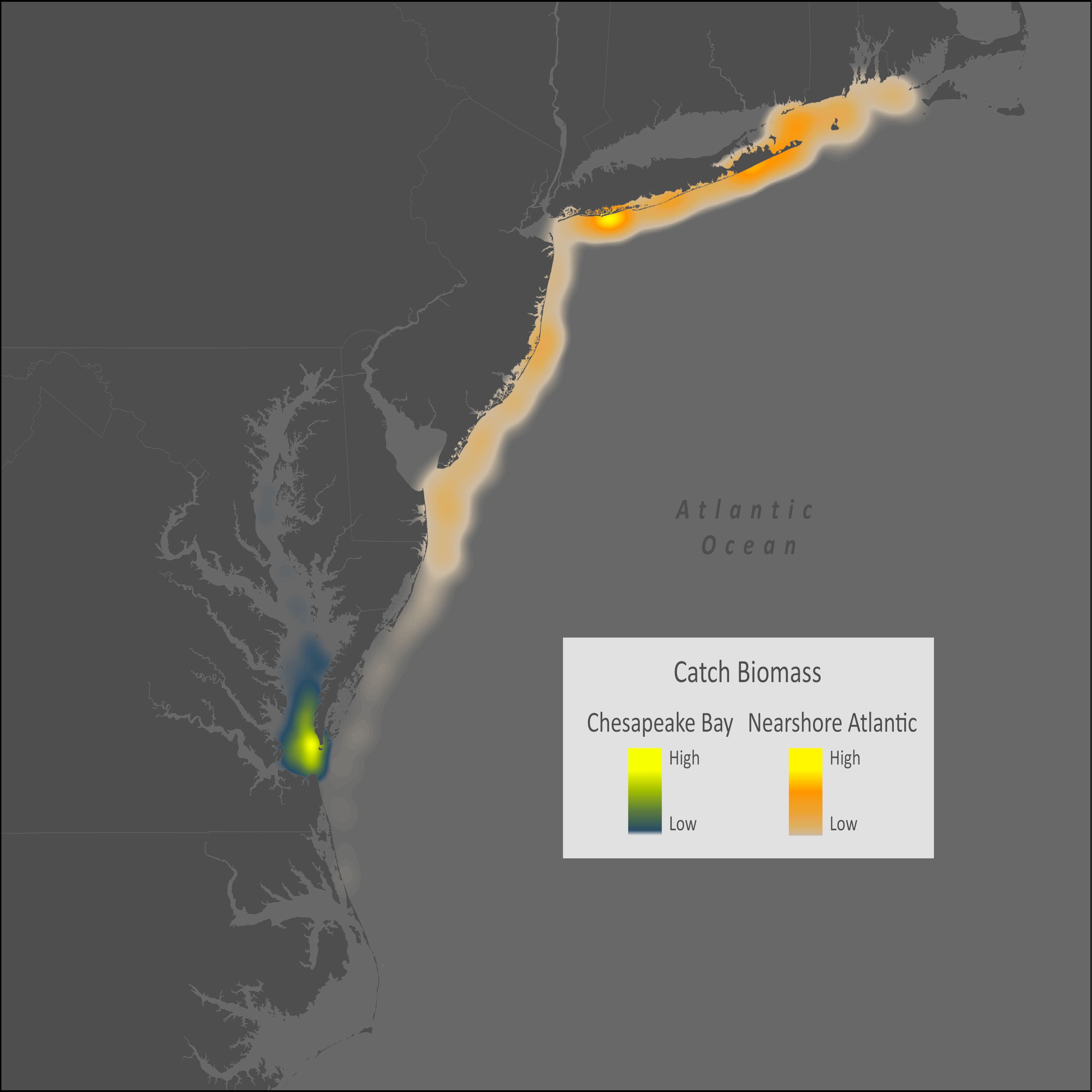Windowpane Flounder | Virginia Institute of Marine Science