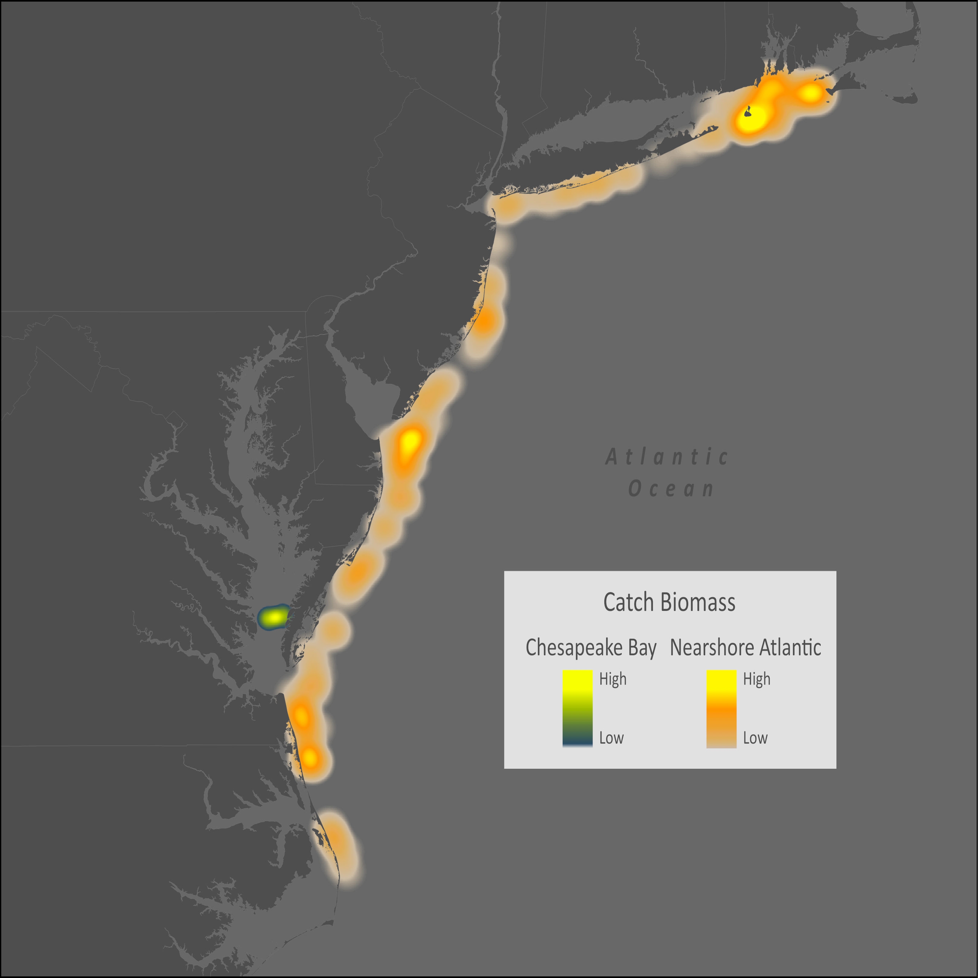Monkfish | Virginia Institute of Marine Science