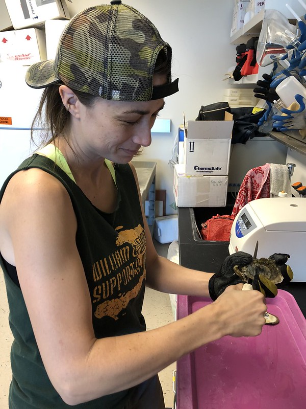 Graduate Student Research | ABC | Virginia Institute of Marine Science