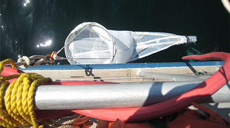 Saxitoxin detection aboard ESP | Virginia Institute of Marine Science