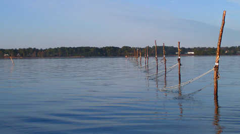 Sampling Methods | Virginia Institute of Marine Science