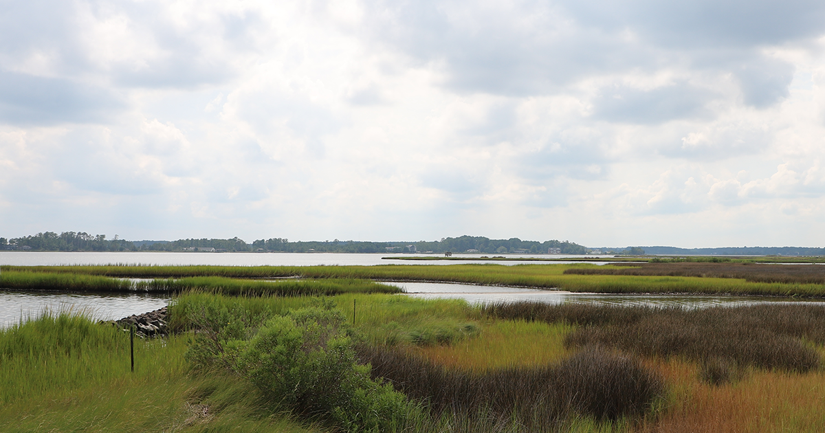 Shoreline Studies Program | Virginia Institute of Marine Science